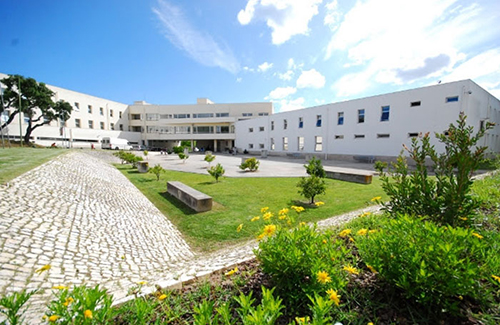 Galeria de Fotos - ESCE/IPS